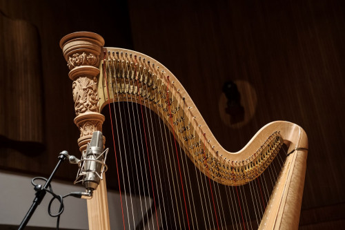 UMFC - Wielki sukces naszych harfistek na II Ogólnopolskim Internetowym ...